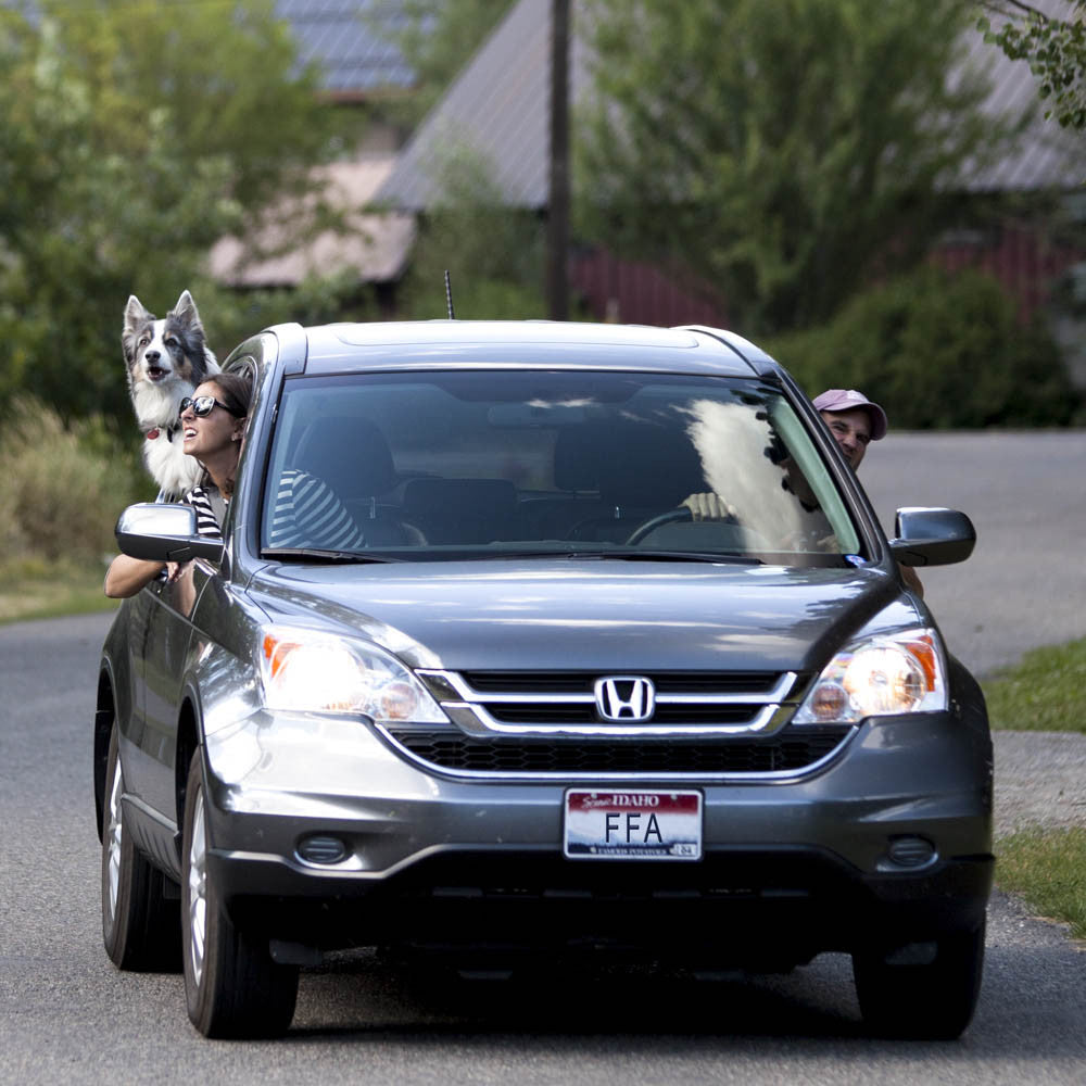 Subtle Butt: activated carbon charcoal fart filters stop bad smells ...